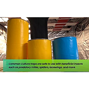 Giant Yellow Sticky Traps - Tape Roll, 30cm x 100m - Insect Sticky Traps Plant Traps for Flying Insects, Fruit Fly, gnats Lantern Flies, for Garden Plant Outdoor/Indoor