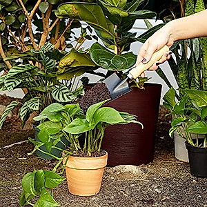 12 Pack Compressed Coco Coir Seed Starter, 0.55lb Soil Brick for Gardening