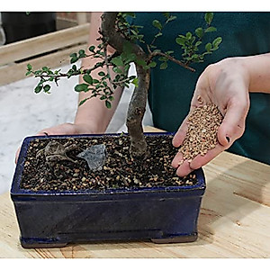 Calcined Clay Soil Amendment (2 Quarts), for Bonsai Tree Potting and Other Plants, Regulates Moisture