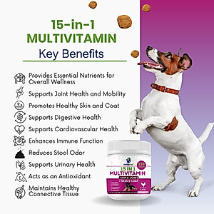 Dog Multivitamin with Vitamin C and E for Skin & Coat + Immune Health - 120ct - Glucosamine Chondroitin for Hip and Joint Support - Probiotics for Healthy Gut Flora - Postnatal Support