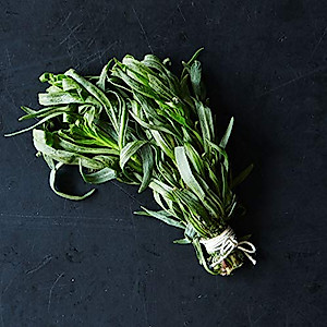 Gaea's Blessing Seeds - Tarragon Seeds - Heirloom Non-GMO Seeds with Easy to Follow Instructions - Open-Pollinated Herb Seeds Germination Rate 91%