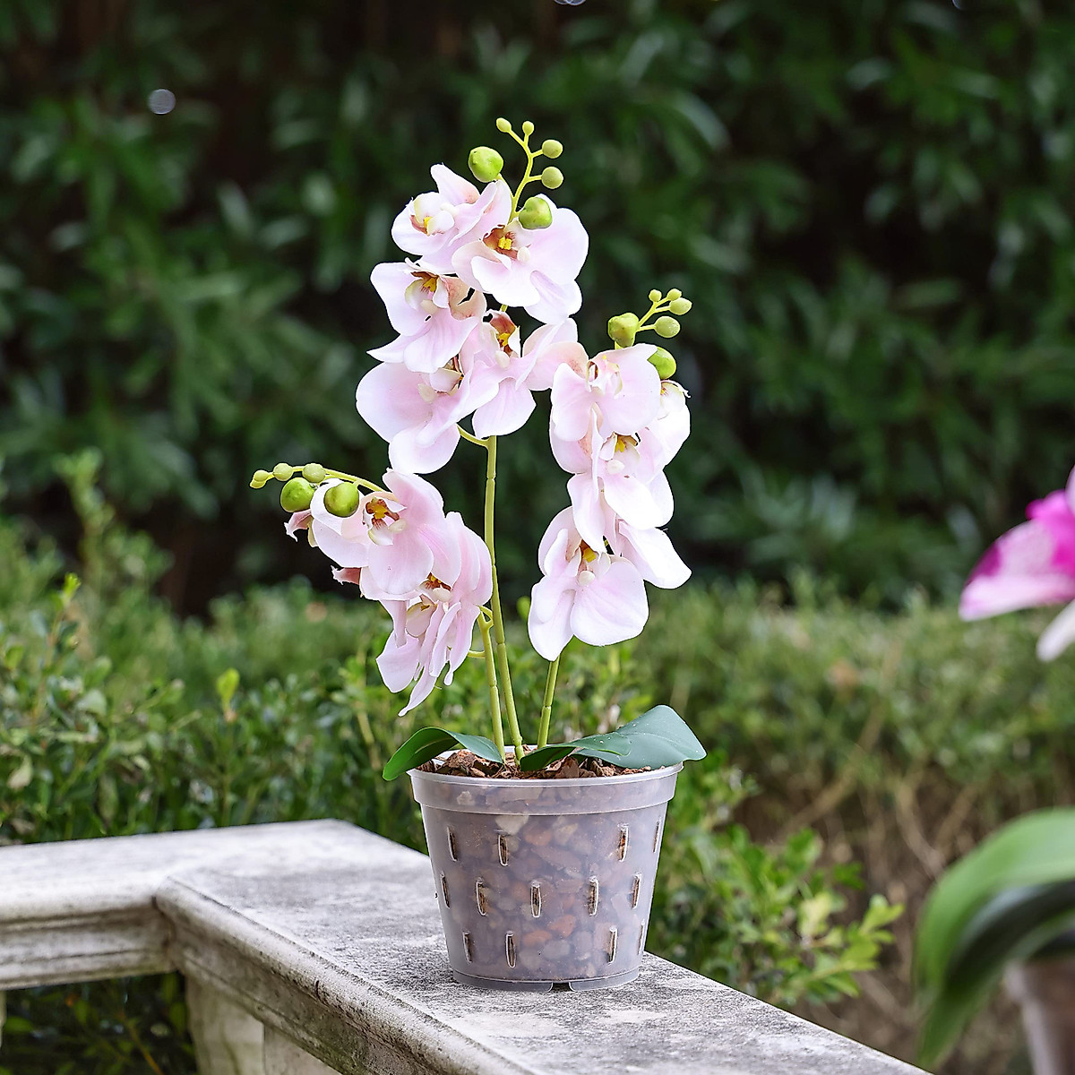 TRUEDAYS Orchid Pots with Holes Plastic Flower Plant Pot Clear Plastic Orchid Pot for Indoor Outdoor,2 Each of 4.5 Inch/5.5 Inch/7 Inch - 6 Pack