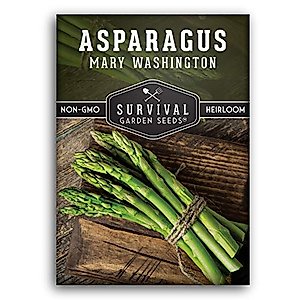 Survival Garden Seeds - Mary Washington Asparagus Seed for Planting - Packet with Instructions to Plant and Grow Long Lasting Perennials in Your Home Vegetable Garden - Non-GMO Heirloom Variety