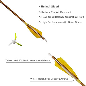 Letszhu Archery Carbon Arrows 500 Spine with Helical Real Feathers and Removable Tips for Compound Recurve Bow (6 Pack)