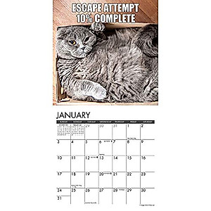 Cat-astrophe 2021 Mini Calendar