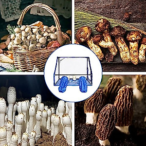 GARVIN Large Still Air Box 33.9" x 22" x 26" Mushroom Bag Plant Propagation Station - Greenhouse Flow Hood Grow Box Grow Monotub with Spray Bottle, Gloves, LED Light Blue/Clear