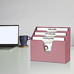 Acrimet Horizontal Triple File Folder Holder Organizer (Solid Pink Color)