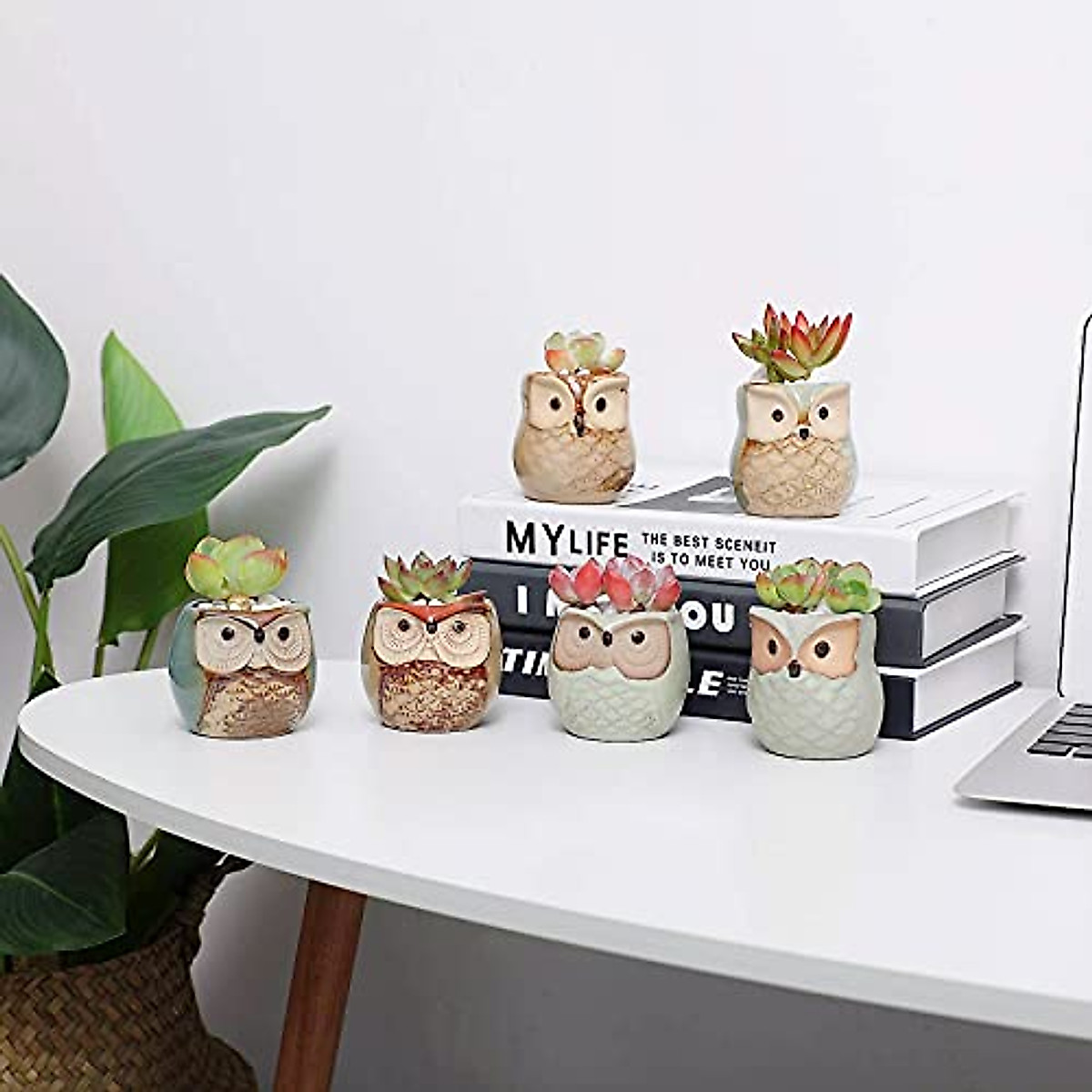T4U 2.5 Inch Owl Ceramic Succulent Planter Pots with Drainage Hole Set of 12, Flowing Glaze Porcelain Handicraft Plant Holder Container Gift for Mom Sister Aunt Best for Home Office Garden Decoration