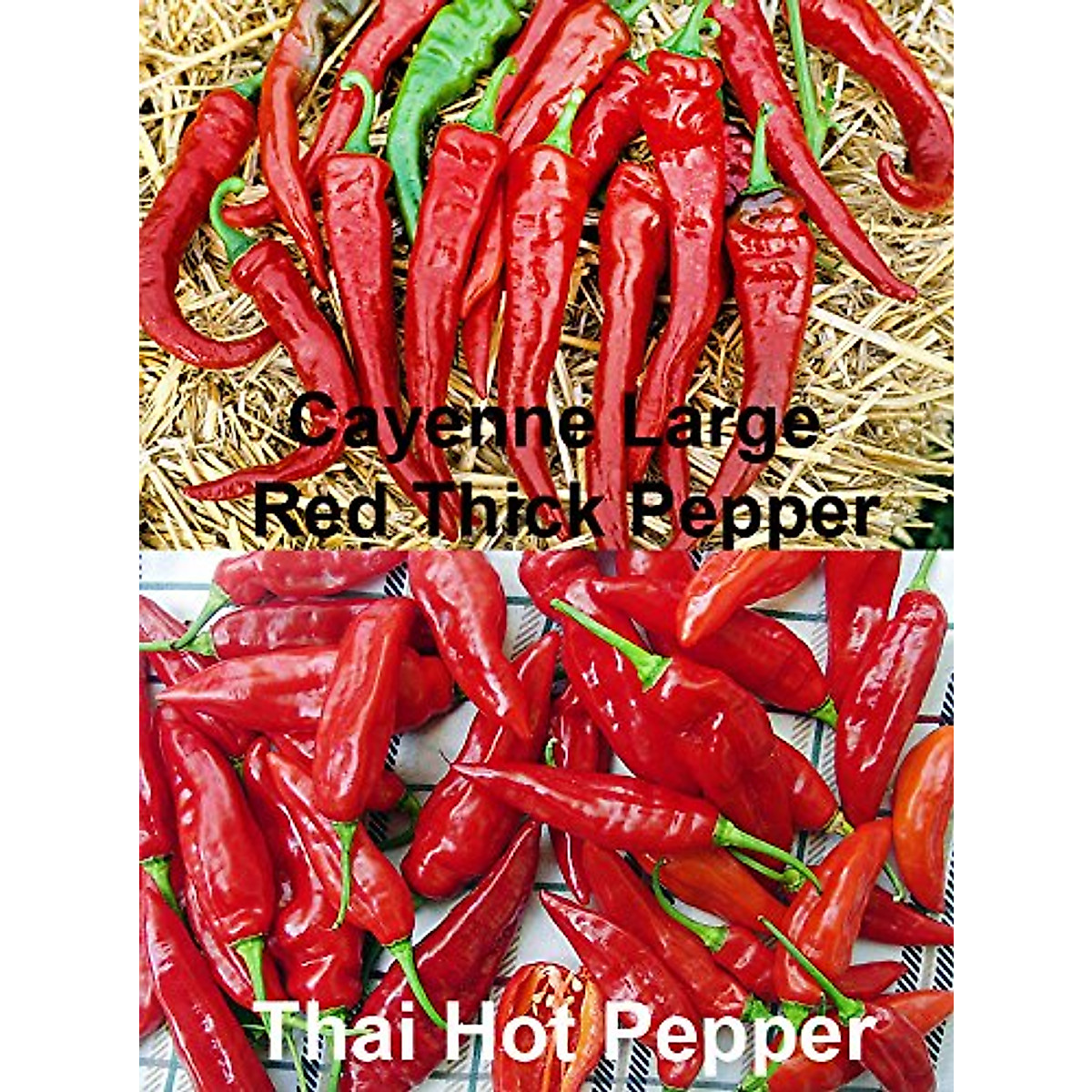 PLEASE READ! THIS IS A MIX!!! 30+ Hot Pepper Mix Seeds, 16 Varieties Heirloom NON-GMO Habanero, Tabasco, Jalapeno, Yellow and Red Scotch Bonnet, Ships from USA! US Grown.