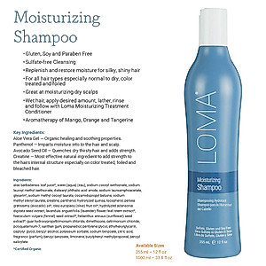 Loma Hair Care Moisturizing Shampoo & Treatment Duo