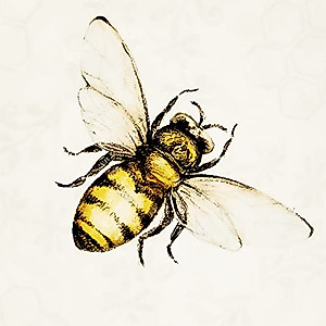 Certified International Bee Sweet 144 oz. Pasta/Serving Bowl, Multi Colored, 13"W x 13"H