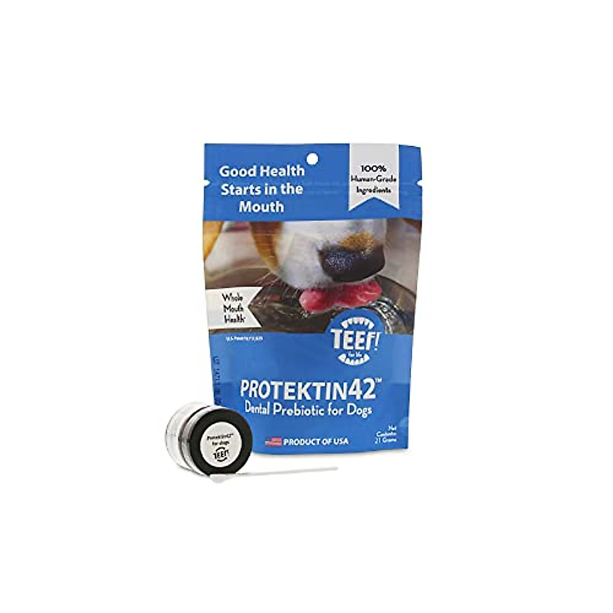 TEEF! Daily Dental Care - Natural Dog Dental Water Additive, 6 Month Supply - Award Winning Protektin42 Formula, Tartar and Plaque Remover - No Brushing, Add to Water Bowl for Healthier Gums