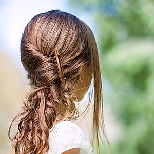 20 Pieces 7 Tooth French Style Twist Comb Plastic Hair Side Combs Hair Accessory for Women (Black and Brown)