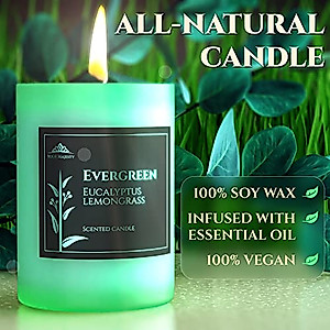 Evergreen Lemongrass & Eucalyptus Candle, Scented Candle for [Anxiety and Stress Relief] 60H Burning Time, Natural Soy Candle Infused with Essential Oils, Aromatherapy Candle 8.81 Oz