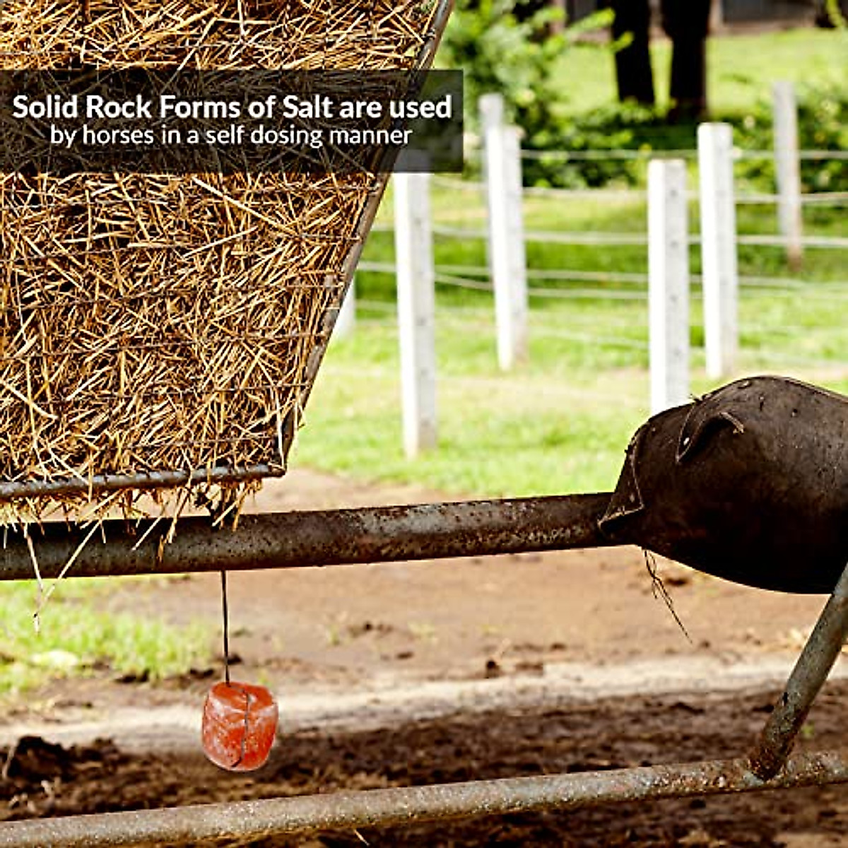 Himalayan Nature Horse Rock Salt, Animal Lick Salt - 8lbs, Elk