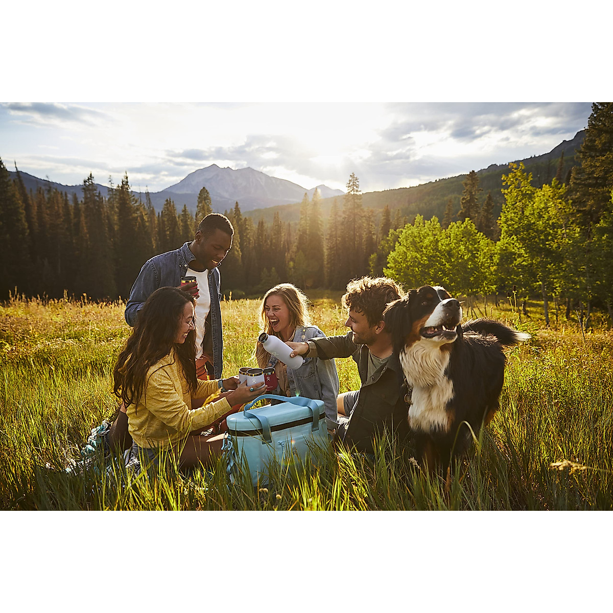 Hydro Flask Stainless Steel Wine Tumbler & Bottle - Insulated Alcohol Travel Cup,10 fluid ounce