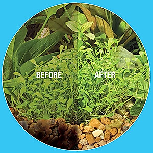 MICROBE-LIFT Professional Gravel & Substrate Cleaner for Freshwater and Saltwater Tanks, 16oz