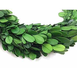 Preserved Garden Boxwood Round Wreath 10" By COCOMIA