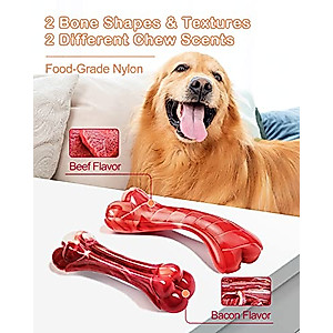 GEE BON 2 Pack Indestructible Dog Toys for Aggressive Chewers - Tough Dog Chew Toys for Aggressive Chewers Large Breed, Nylon Durable Dog Chew Bones with Bacon & Beef Flavor for Medium and Large Dogs