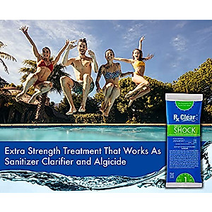 Rx Clear Mega Shock | 73% Calcium Hypochlorite | Kills Algae in Swimming Pools | Works As Pool Sanitizer Clarifier and Algicide | One Pound Bags | 24 Pack