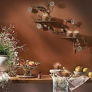 Aromatique Cinnamon Cider Textured Glass Candle 6oz - Decorative Home Fragrance Aromatherapy Long Lasting Room Air Freshener Deodorizer Perfect Fall Decoration Luxury Glass Candle Gift 40 Hour Burn!