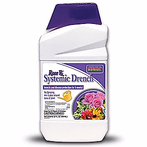 Bonide Rose Rx Systemic Drench, 32 oz Concentrate, Garden Insect & Disease Prevention for Roses, Flowers and Ornamentals