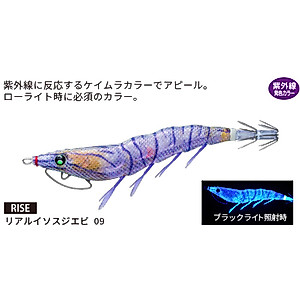 Duel A1773-RISE 09 Egi Squid Fishing Lure, Easy Q Cast Squid Fishing Lure, Squid Fishing Gear, Egi Trap, bigfin Reef Squid, No. 3.5, Real Isosuji Shrimp