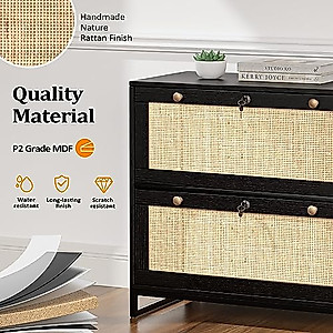 VINGLI Black Rattan 2 Drawer Lateral File Cabinet with Lock, Wood Locking File Cabinets for Home Office, File Cabinet Printer Stand for Hanging Letter/Legal Size Labeled Folders, Oak, 30W x 16D x 28H