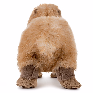 Wildlife Tree 12 Inch Standing Stuffed Capybara Plush Animal Kingdom Collection