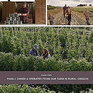 Organic Indoor Lettuce & Greens Garden Starter Kit - Certified USDA Organic Non GMO - Includes Spinach, Kale, Red Romaine, Loose Leaf Lettuce Seeds for Planting, Potting Soil, Peat Pots