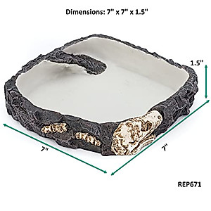 Penn-Plax Reptology Reptile Fossil Rock Food/Water Dish – Great for Bearded Dragons, Geckos, Chameleons, Snakes, Hermit Crabs, and Many More – Large