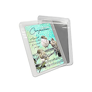 Carosoffe Birds on Branch Small Compact Mirror for Purse, Music Score Retro Illustration Aqua Ombre Travel Makeup Mirror for Women Men, Rectangular Handheld Compact Pocket Mirror 2 PCS