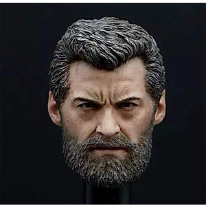 HiPlay 1/6 Scale Male Figure Head Sculpt, Handsome Men Tough Guy, Doll Head for 12 inch Action Figure HS011(B)