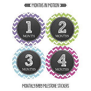 Baby Girl Monthly Sticker | Baby Milestone Stickers | Newborn Month Stickers | Milestone Stickers