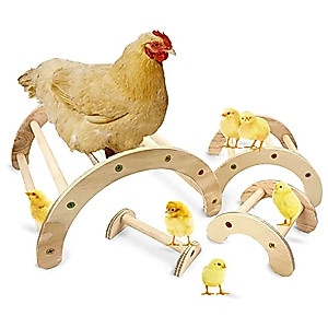 Xnuoyo Chick Perch Chick Toys,4 Pack Chicken Perch Stand Roosting Training,Chicken Wood Stand Paw Grinding Stick,Chicken Coop Accessories Toys for Chicken Brooder, Coop Baby Chicks