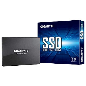 GIGABYTE SSD 1TBB NAND Flash SATA III 2.5" Internal Solid State Drive (GP-GSTFS31100TNTD)