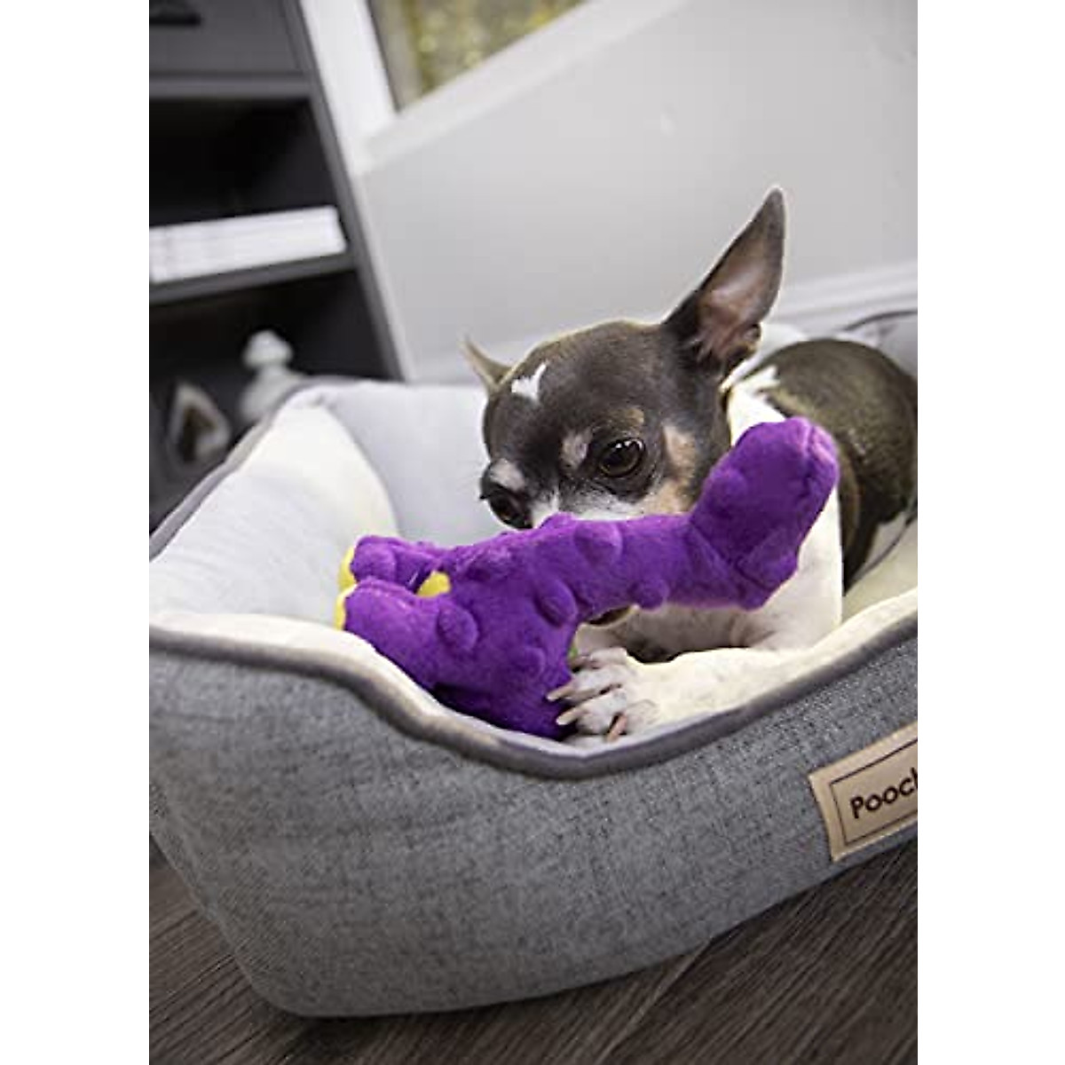 goDog Just For Me Bruto with Chew Guard Technology Plush Dog Toy, Purple, Mini