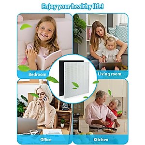 BBT BAMBOOST D480 True HEPA Replacement Filter D4 Compatible with Winix D480 Air Purifier, 1 True HEPA and 2 Activated Carbon Filters, Item Number 1712-0100-00