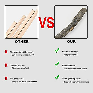 Betinyar 5 Pcs Wood Bird Perch, Natural Wood Bird Perch, Branch Paw Grinding Stick Toy, Bird Perch Cage Accessories for Parrots, Finches, Lovebirds