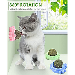 TINDTOP Catnip Balls & Silvervine Sticks Kit, Natural Catnip Toys for Kittens Teeth Cleaning, Matatabi Dental Care, Increase Appetite, Calm Cat Anxiety and Stress, Aggressive Chewers Cat Dental Toy