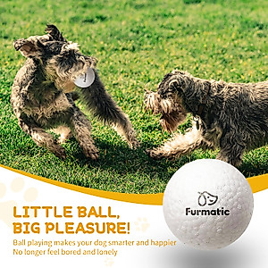 Furmatic Dog Toys for Aggressive Chewers, Indestructible and Interactive Tennis Balls for Dogs, Ideal Herding ball for dogs to Chew Fetch Training, for Large Medium Small Dog and Puppies (Small, 2.5")