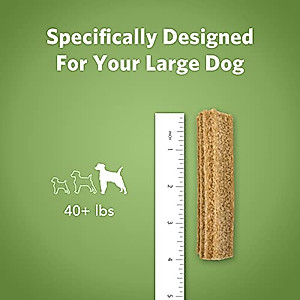 Purina DentaLife Large Dog Dental Chews; ActivFresh Daily Oral Care - (2) 30 ct. Pouches