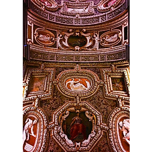 Sigma DP1x 14MP FOVEON CMOS Sensor Digital Camera and 2.5 Inch LCD