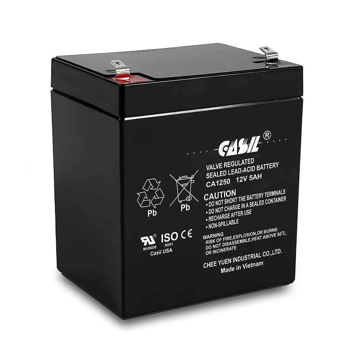 Casil 12V 5Ah Battery SLA AGM VRLA Rechargeable Replacement for Alarms, Security, Garage Door Openers for Chamberlain, Genie, Liftmaster, Craftsman, Workhorse