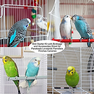 Kuzino Small Bird Travel Cage - Economy and Lightweight Small Birds Carrier Cages for Parakeets Lovebirds Parrotlets Finches Canaries with White Wire, White Plastic Base with Removable Tray