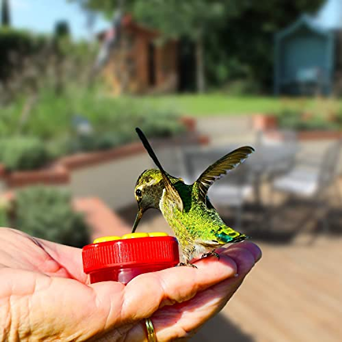 Hand Hummingbird Feeder, 4Pcs Mini Flower Handheld Hummingbird Feeder with 4Pcs Cleaning Brush, Window Humming Wild Bird Feeders for Outdoor Supplies
