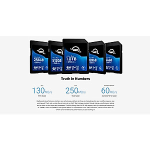 OWC Atlas Pro 128GB SDXC UHS-II V60 Media Card