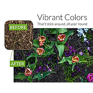 Peach Country Midnight Black Mulch Dye Color Concentrate - 2,800 Sq. Ft. - Brighten Up Your Old Mulch Beds Easily with Our Premium Mulch Dye (1 Quart, Black)