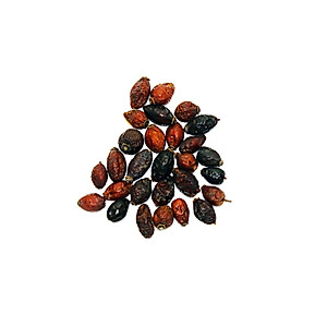 Whole Rosehips | Wild Harvest from Eastern Europe