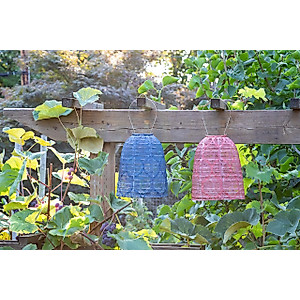 Allsop Home & Garden 32300 Stella Bell Solar Lantern, Burnt Sienna